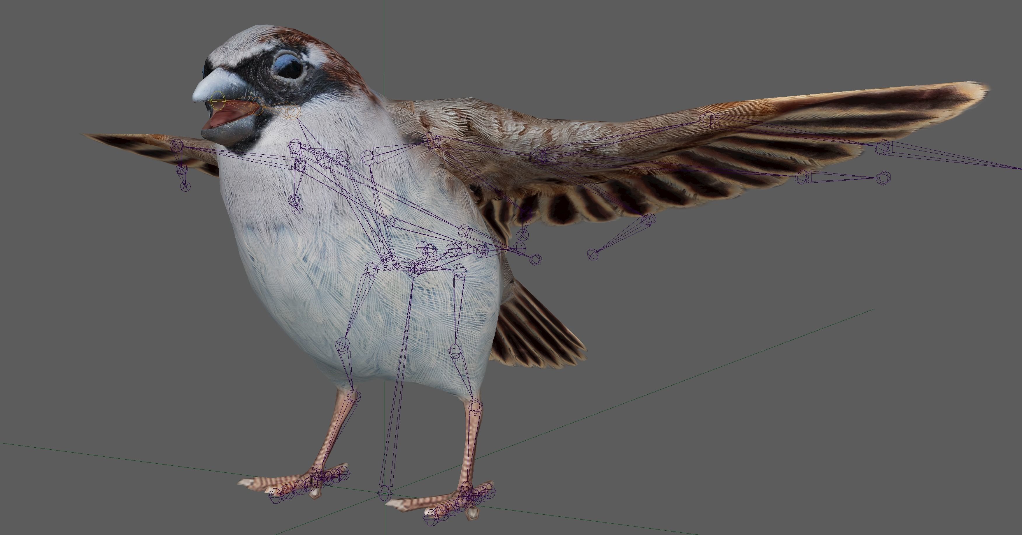 3D model Sparrow Rig VR / AR / low-poly | CGTrader