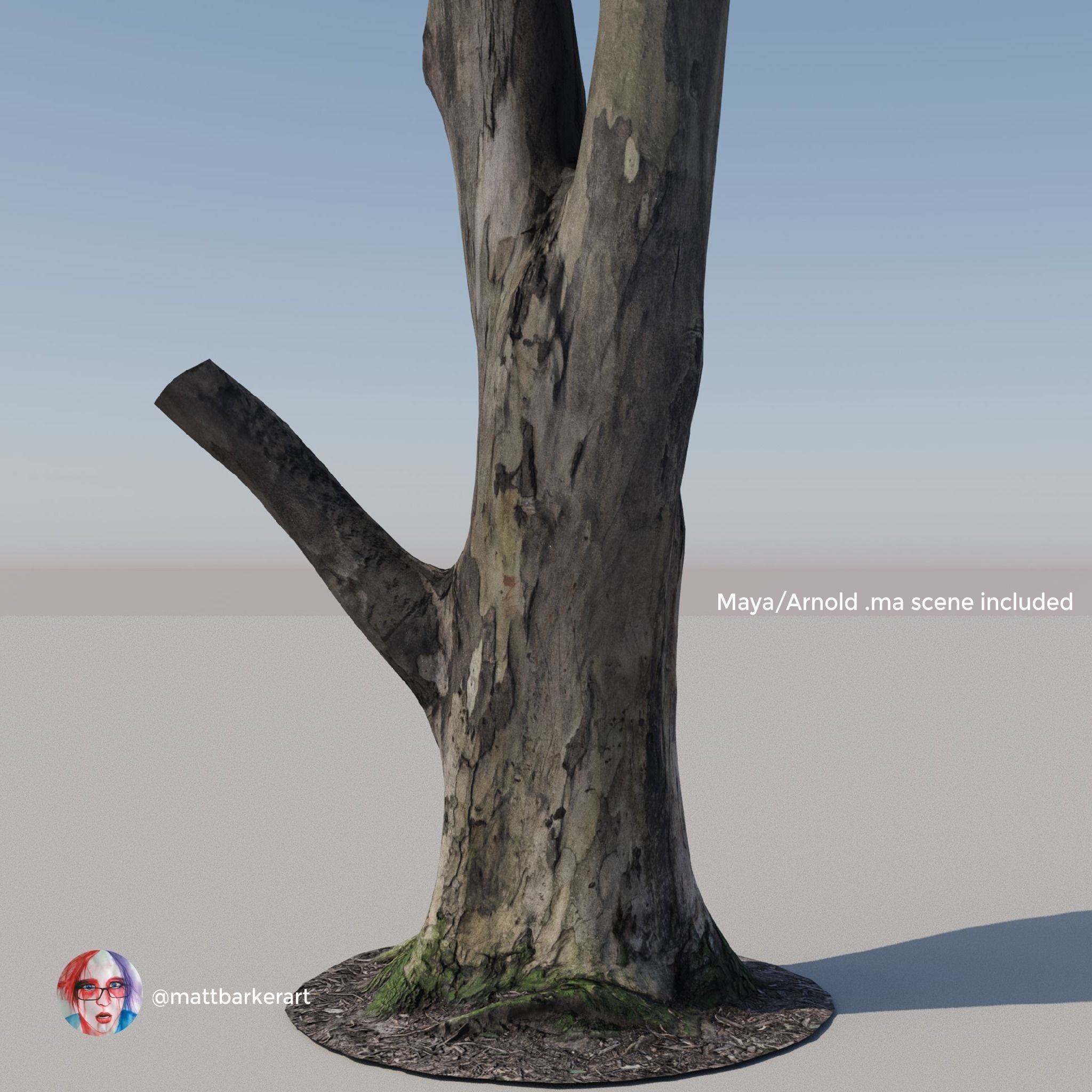 3D model Gum Tree Trunk 3D Model VR / AR / low-poly | CGTrader