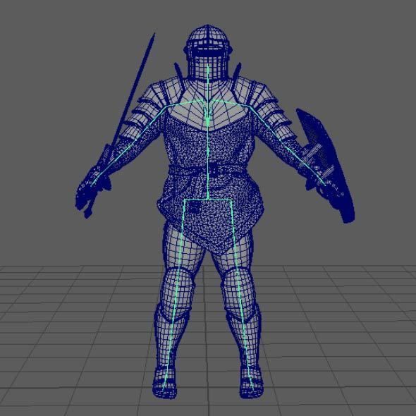 Knight With Sword and Shield 3D model rigged | CGTrader