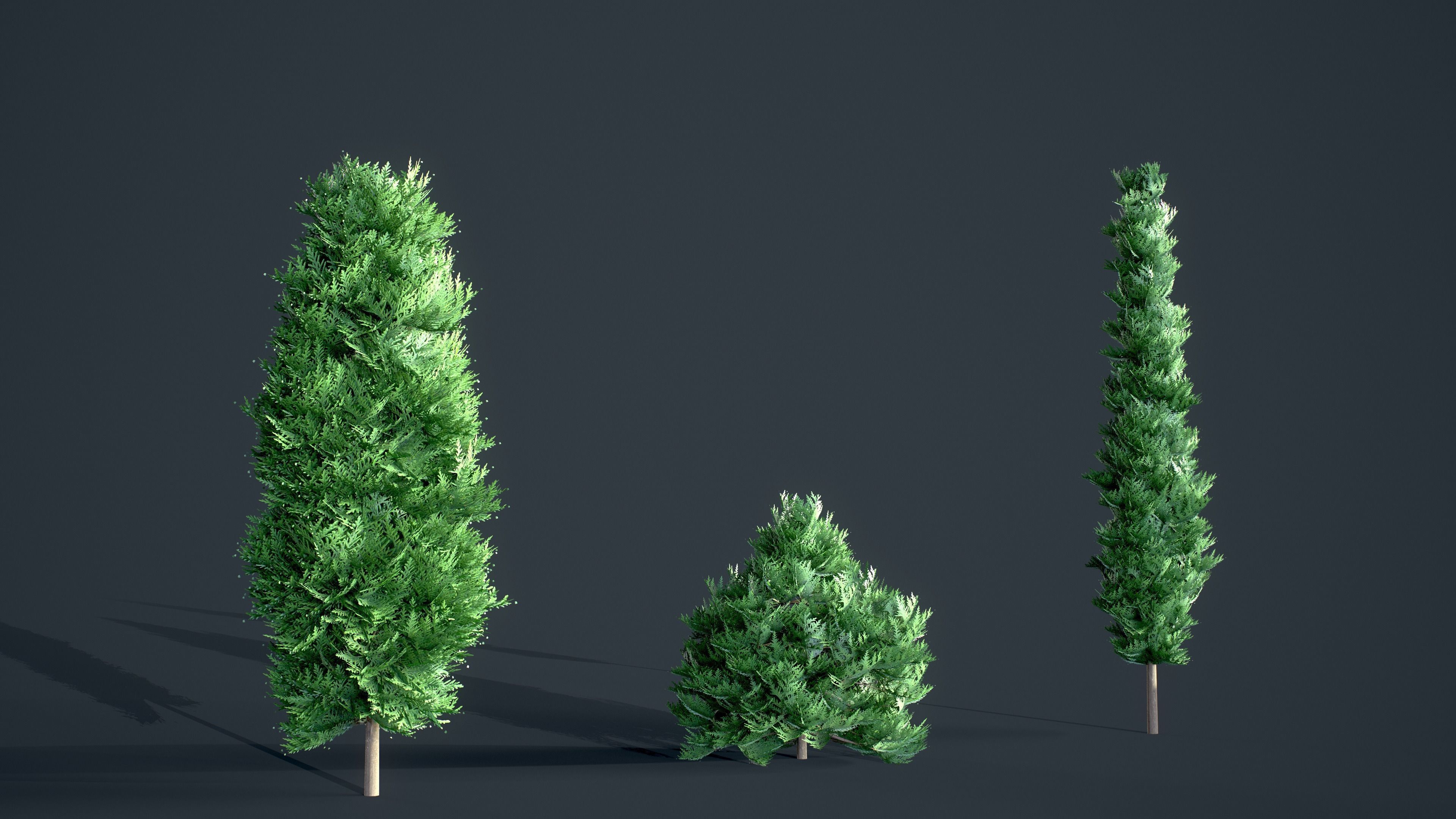 3D model Cypress - Tree bundle with LODs winter and summer VR / AR ...