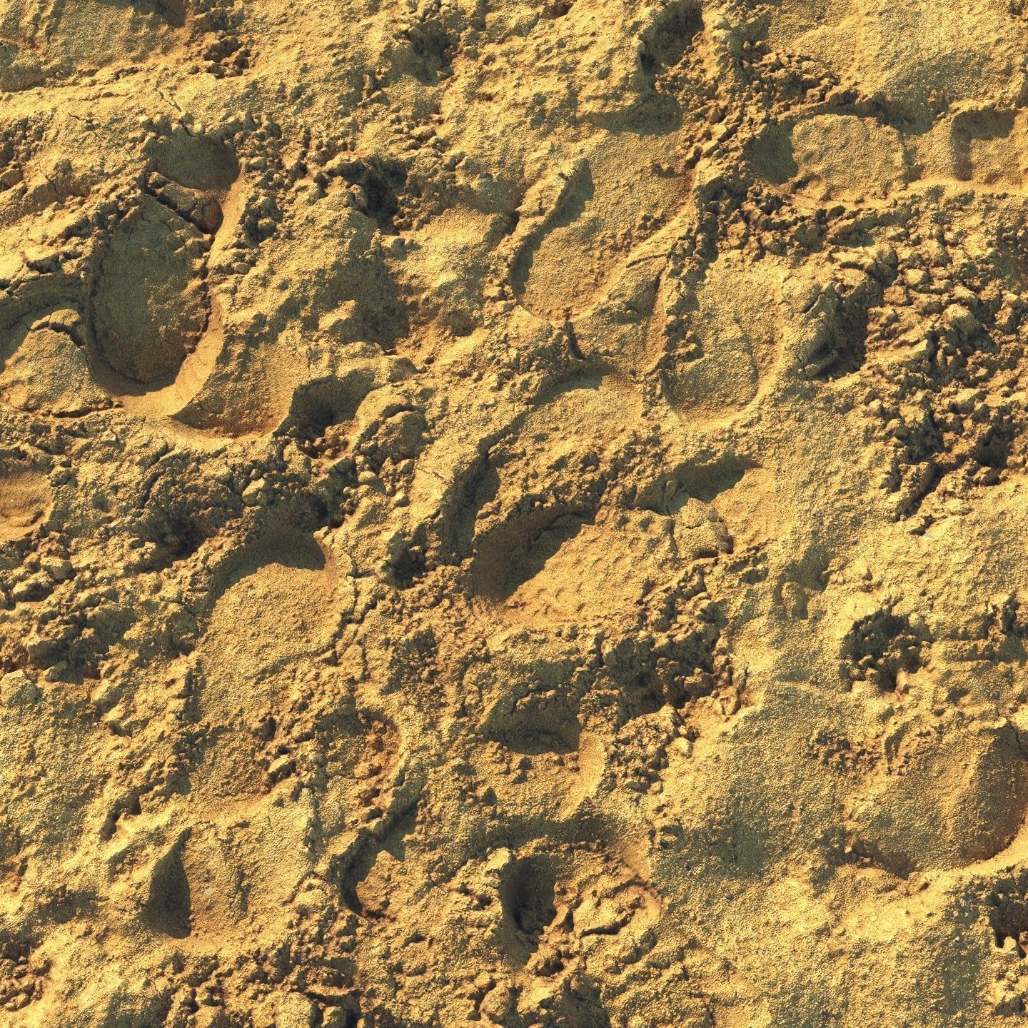 Wet sand material with footprints 3D model | CGTrader