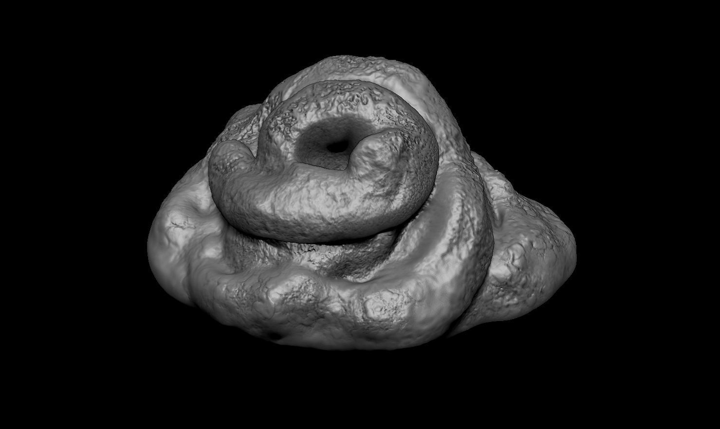 3D PRINTABLE POOP - A PRANK FOR THE PEOPLE YOU LOVE 3D model 3D ...