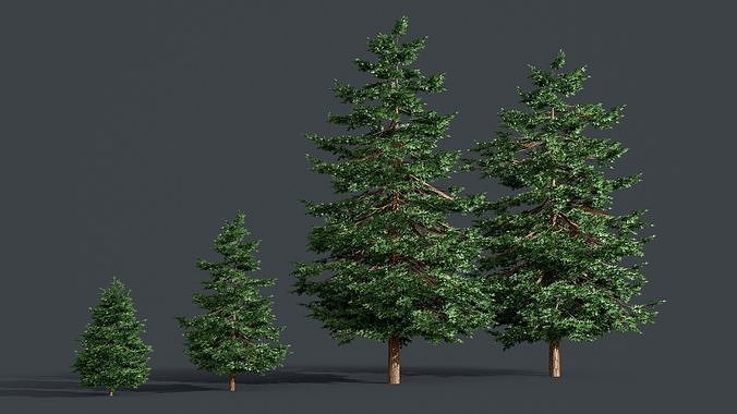 3D model Fir Tree Bundle with LODs - summer and winter VR / AR / low ...