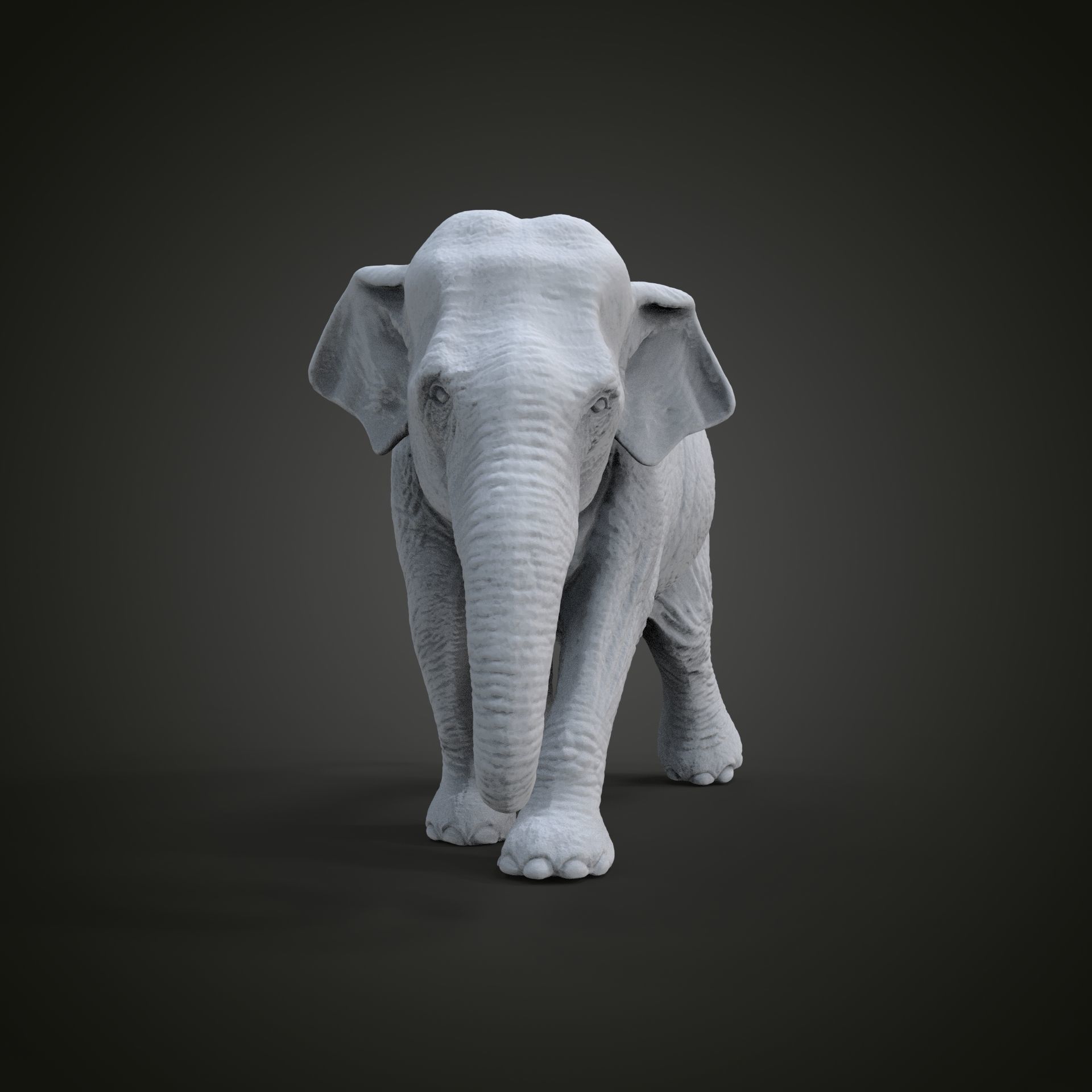 Asian elephant 3D model 3D printable | CGTrader