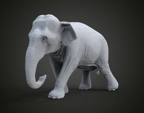 Elephant 3D Printing Models | CGTrader