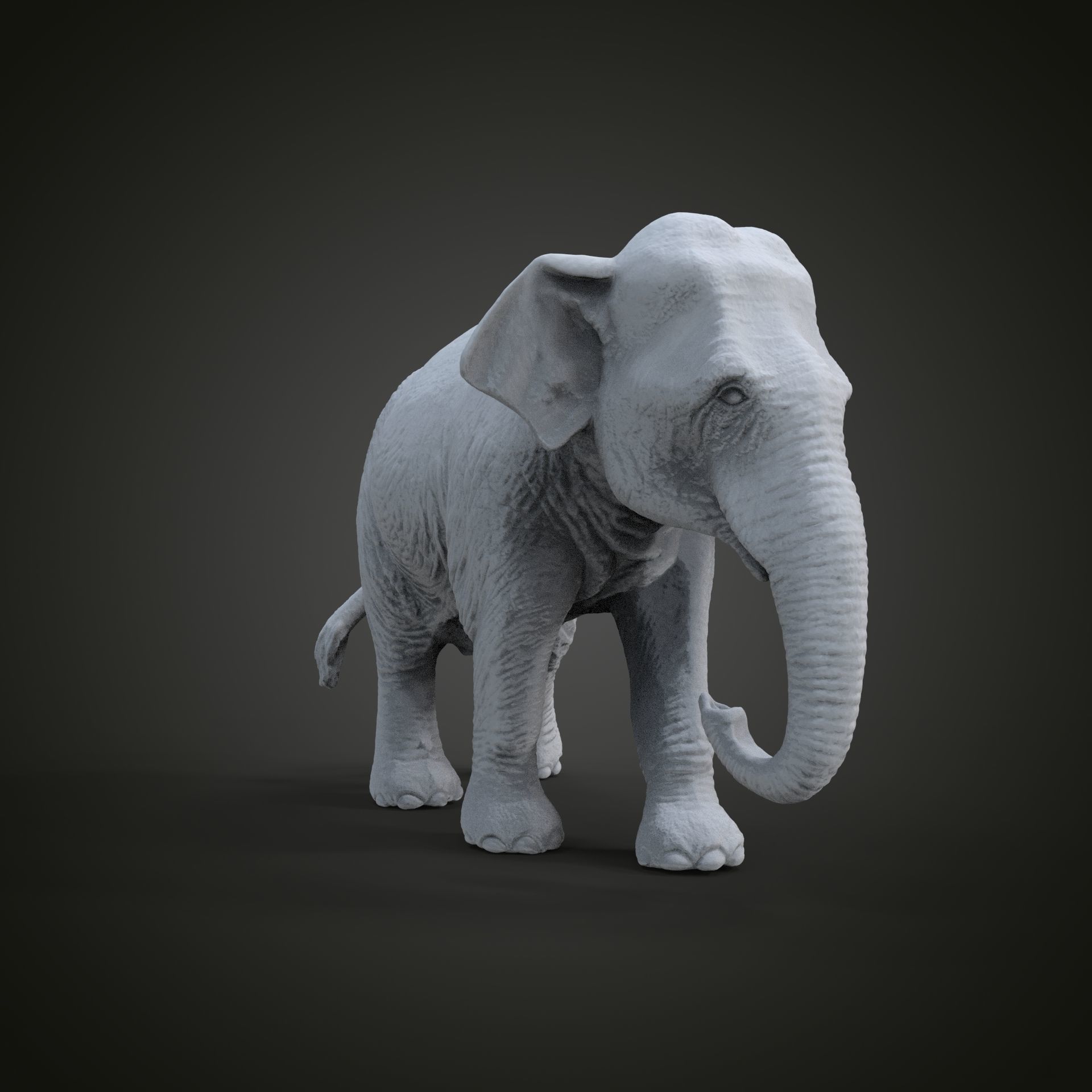 Asian elephant 3D model 3D printable | CGTrader