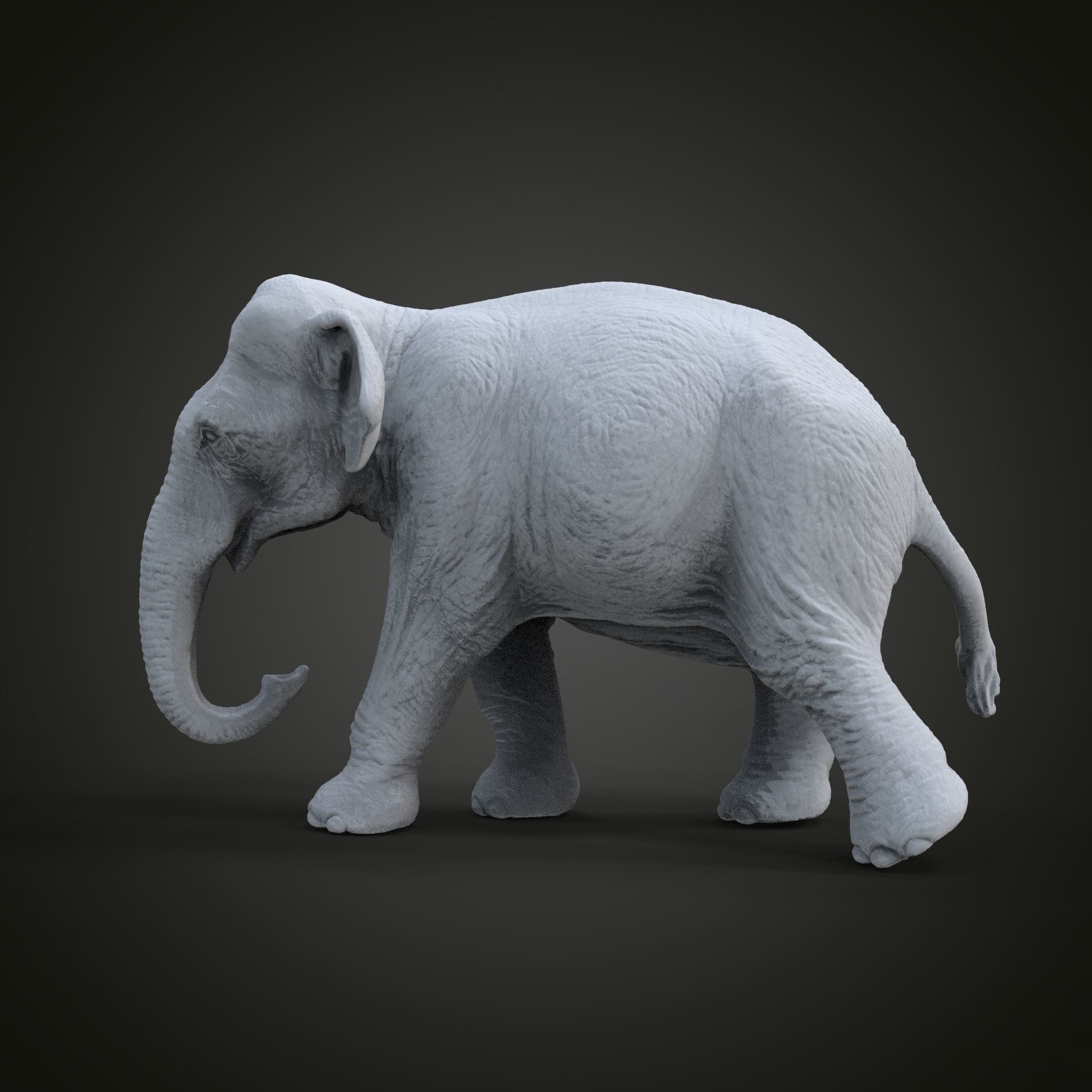 Asian elephant 3D model 3D printable | CGTrader