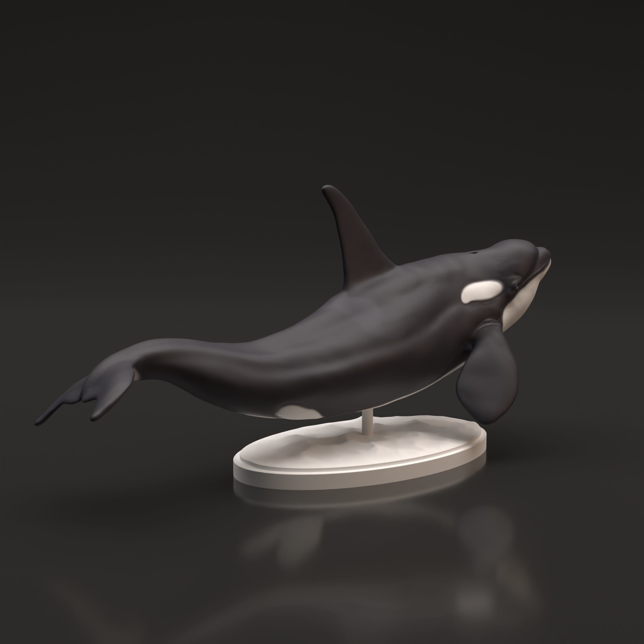 Orca for 3D Printing 3D model 3D printable | CGTrader