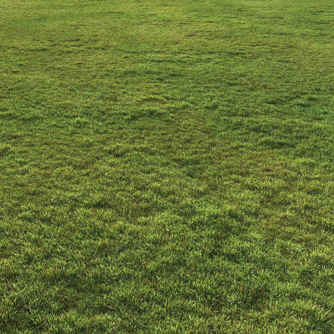 Flat grass 2 3D model | CGTrader