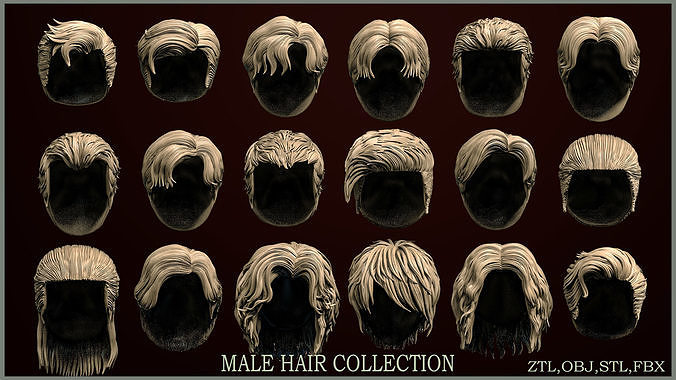 18 Male hair 3D model | CGTrader