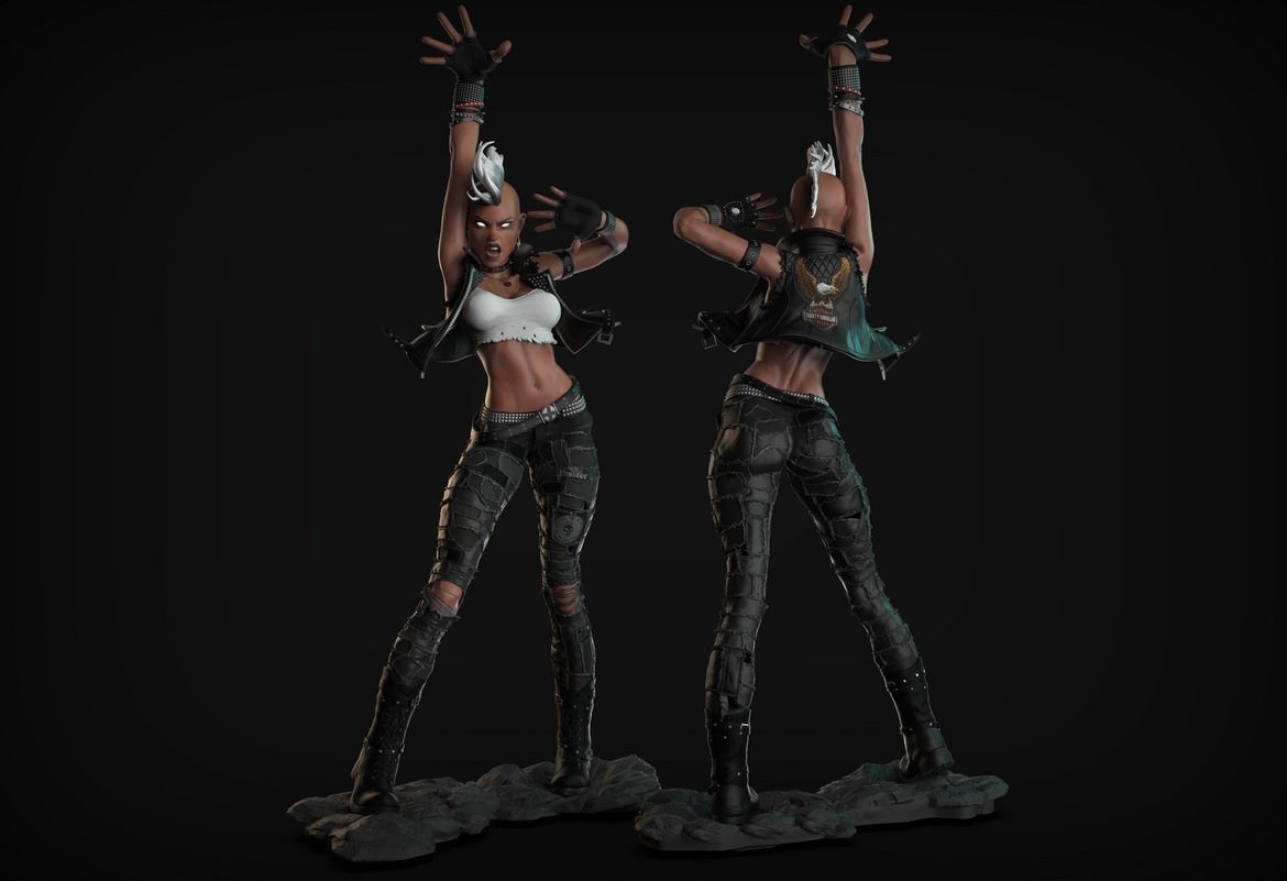 Storm Punk 3D model 3D printable | CGTrader