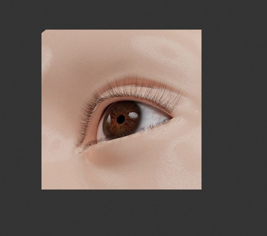 3D model EYE MODEL WITH EYELIDS AND EYELASH VR / AR / low-poly | CGTrader