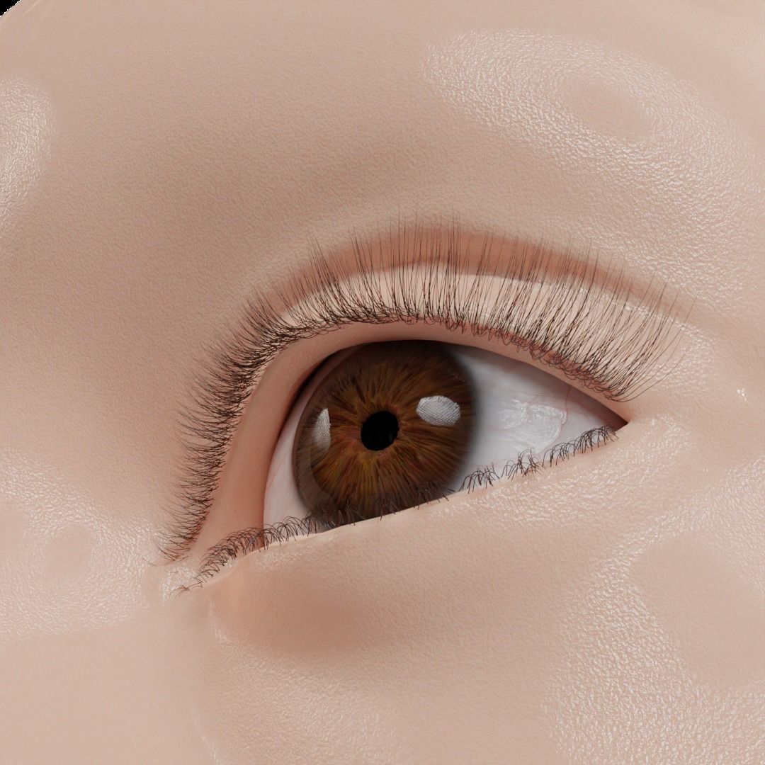 3D model EYE MODEL WITH EYELIDS AND EYELASH VR / AR / low-poly | CGTrader