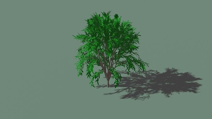 tree 3d model free 3D model | CGTrader