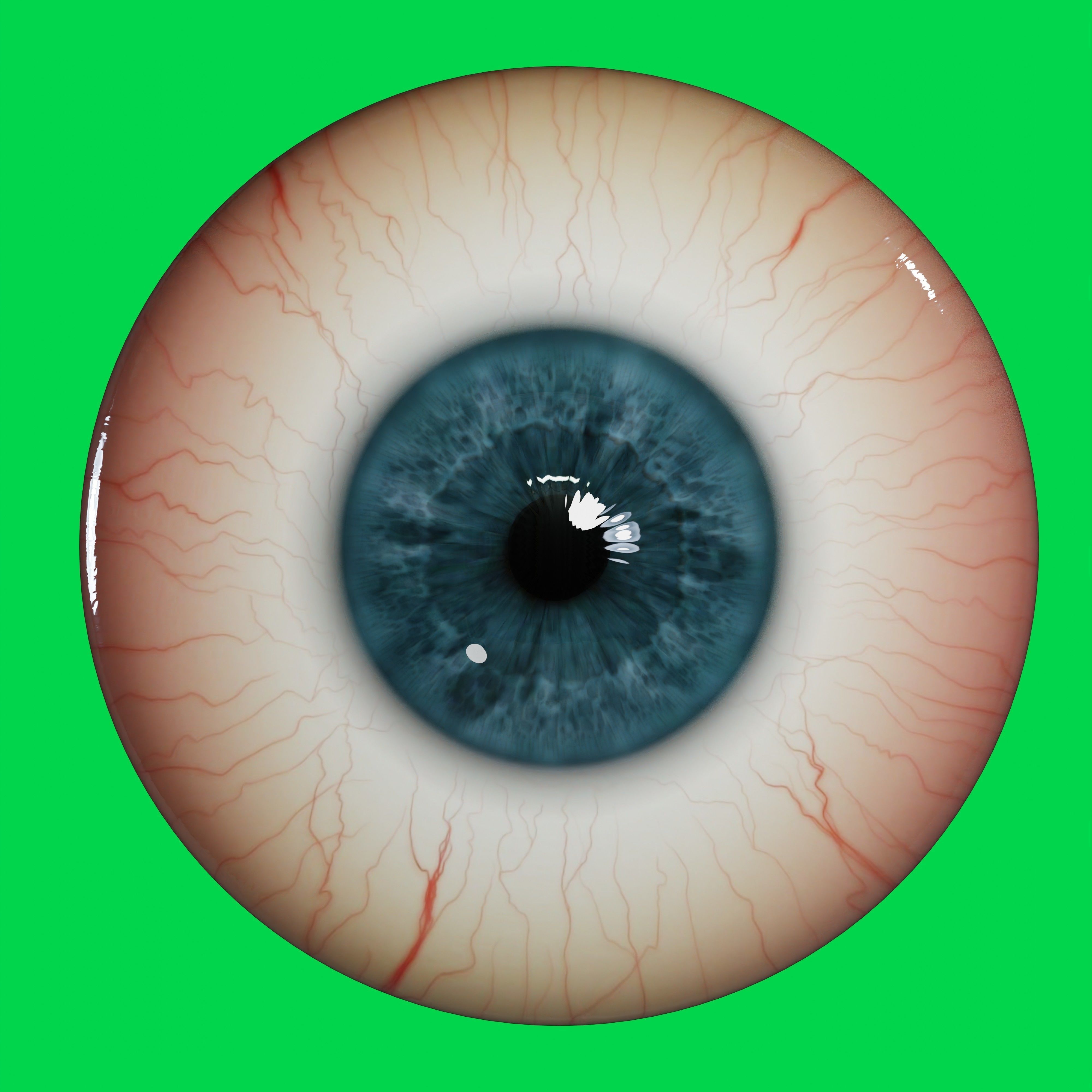 Eye 3d model free 3D model animated | CGTrader