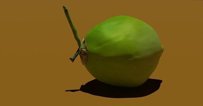 3D model Coconut Green Lowpoly VR / AR / low-poly | CGTrader