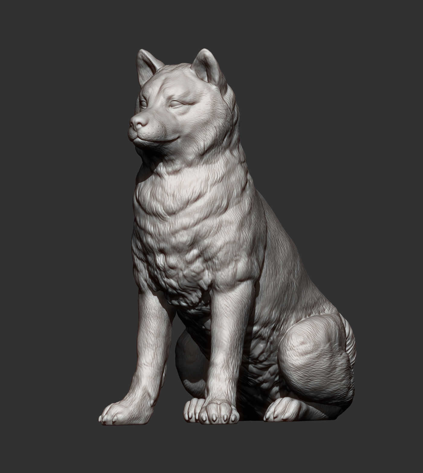 shiba inu 3D model 3D printable | CGTrader