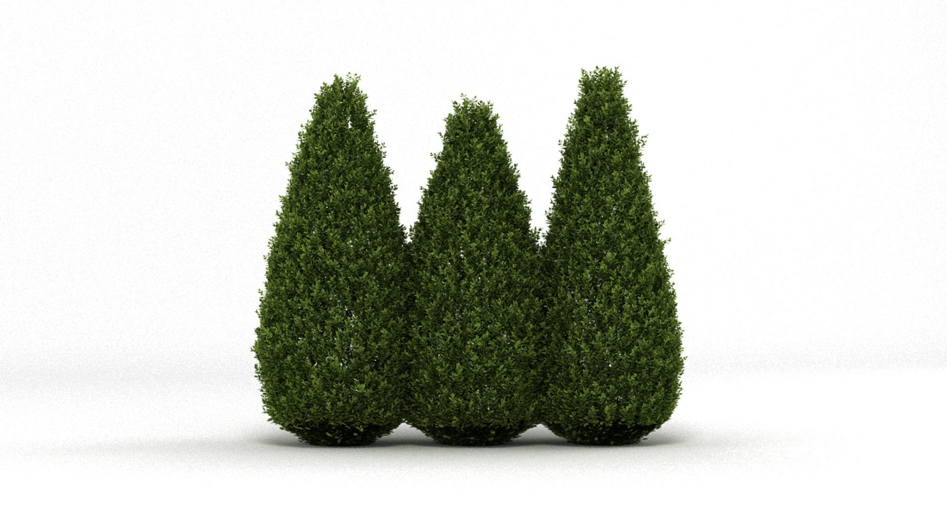 Shrubs 3D model | CGTrader