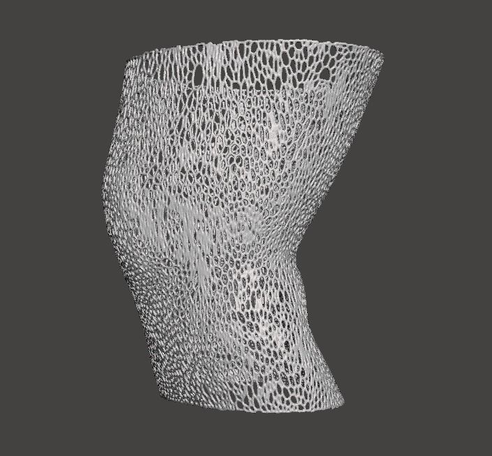 Voronoi Pattern use - example - right knee cast free 3D model | CGTrader