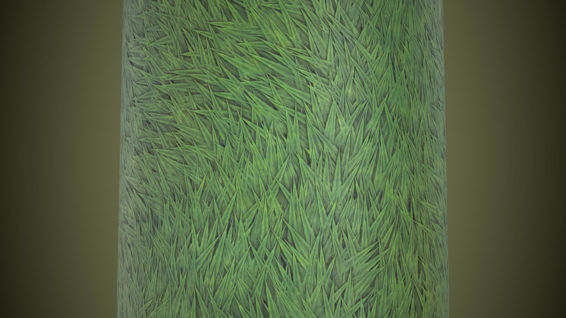 Grass PBR Tiling Texture Texture | CGTrader