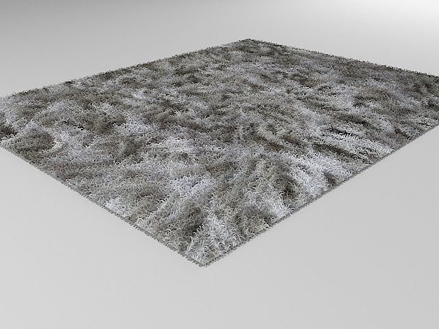 Shag rug 3D model | CGTrader