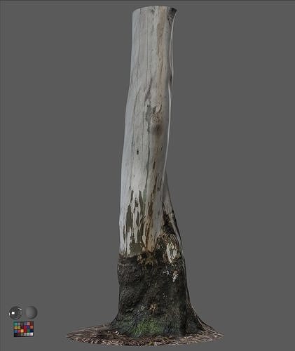 3D model Gum tree trunk photogrammetry low and high VR / AR / low-poly ...