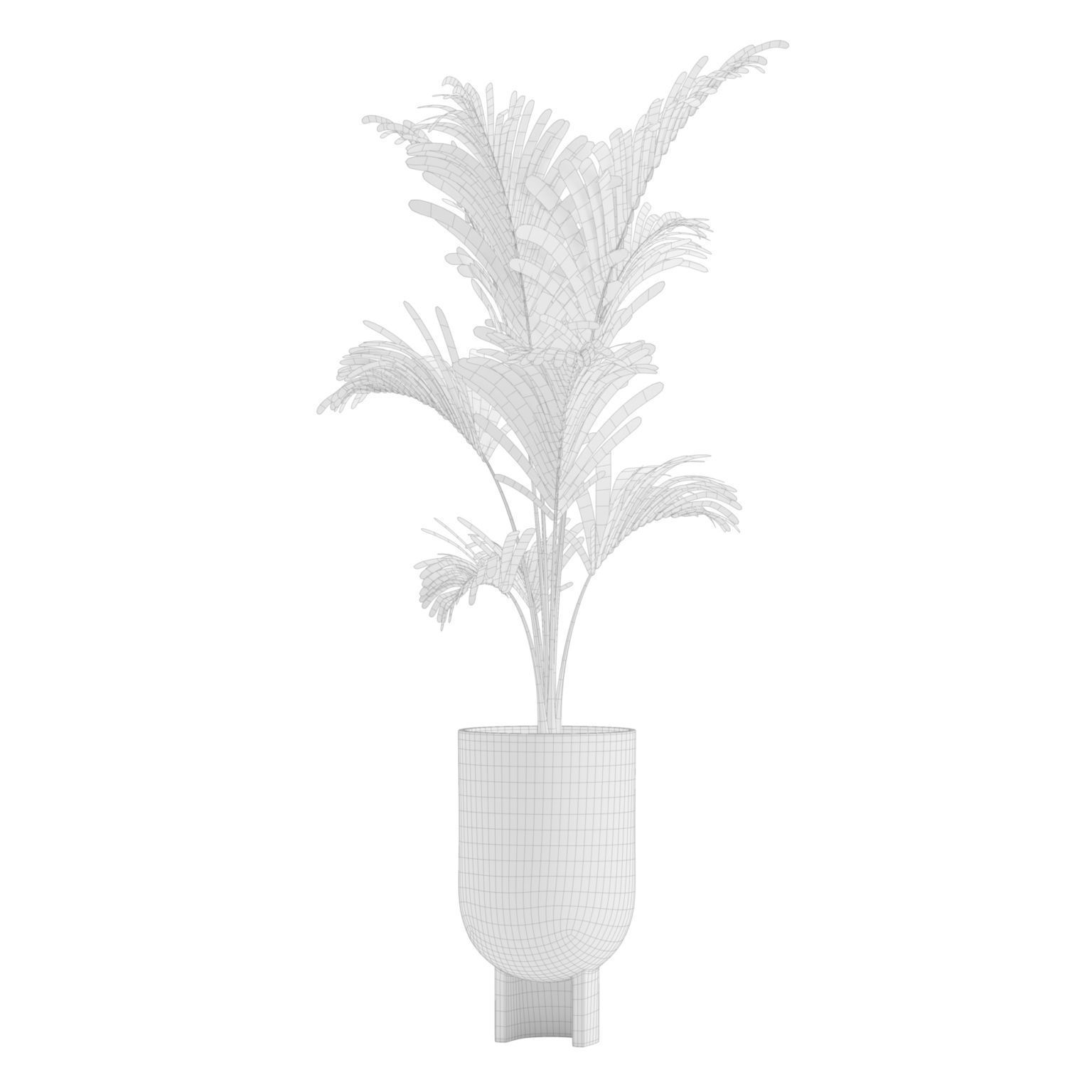 Palm Set - Ravenea rivularis 3D model | CGTrader
