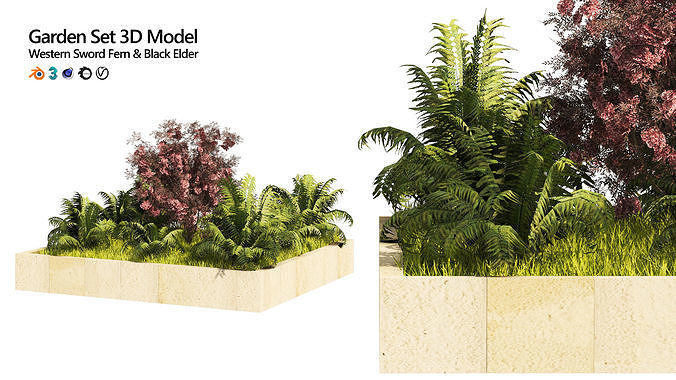 3D model garden border plant set VR / AR / low-poly | CGTrader