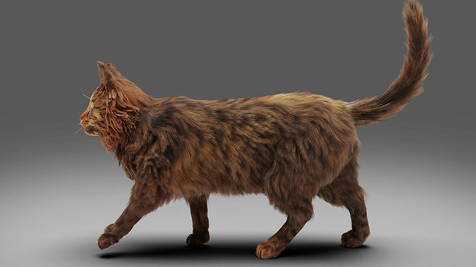 3D model Fur Cat Grey NO Rigged VR / AR / low-poly | CGTrader