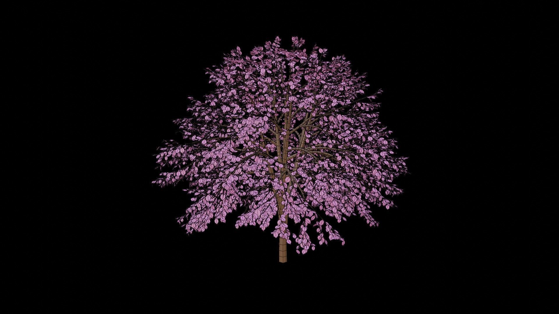 Cherry Tree Low Poly free 3D model | CGTrader