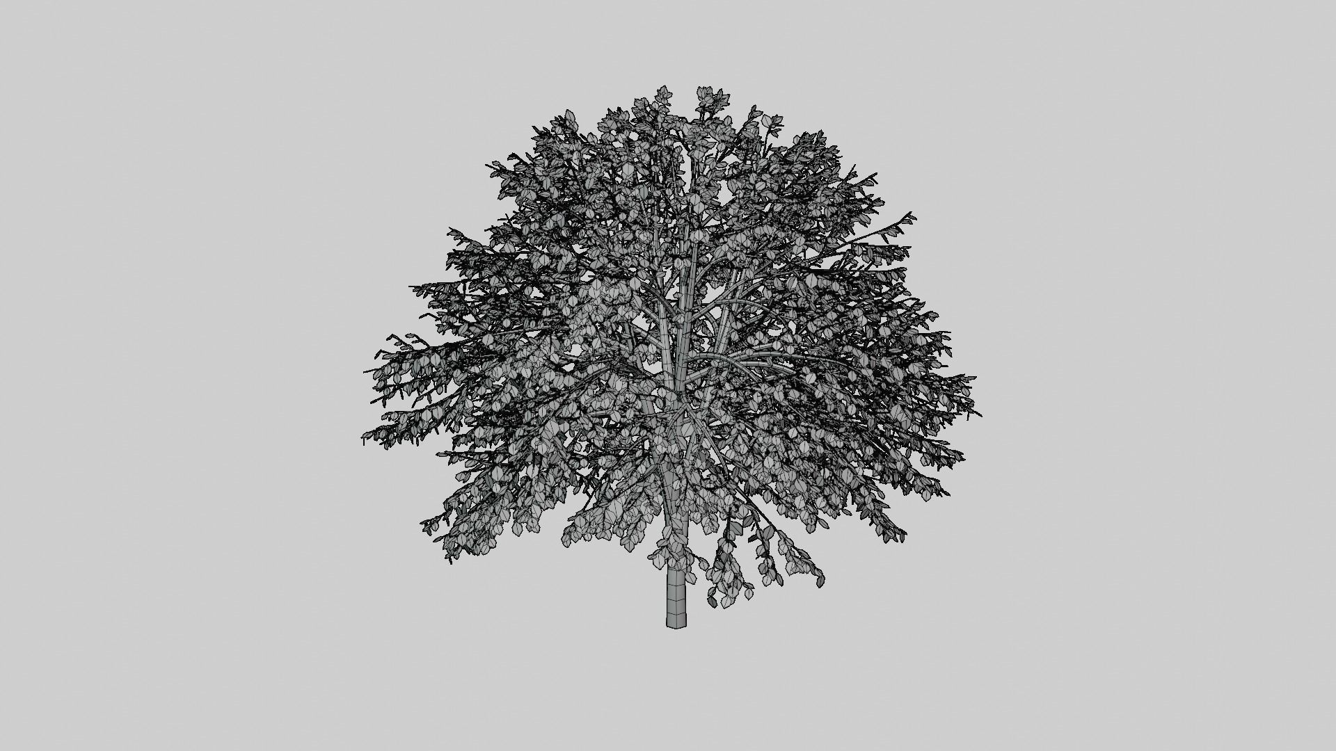 Cherry Tree Low Poly free 3D model | CGTrader