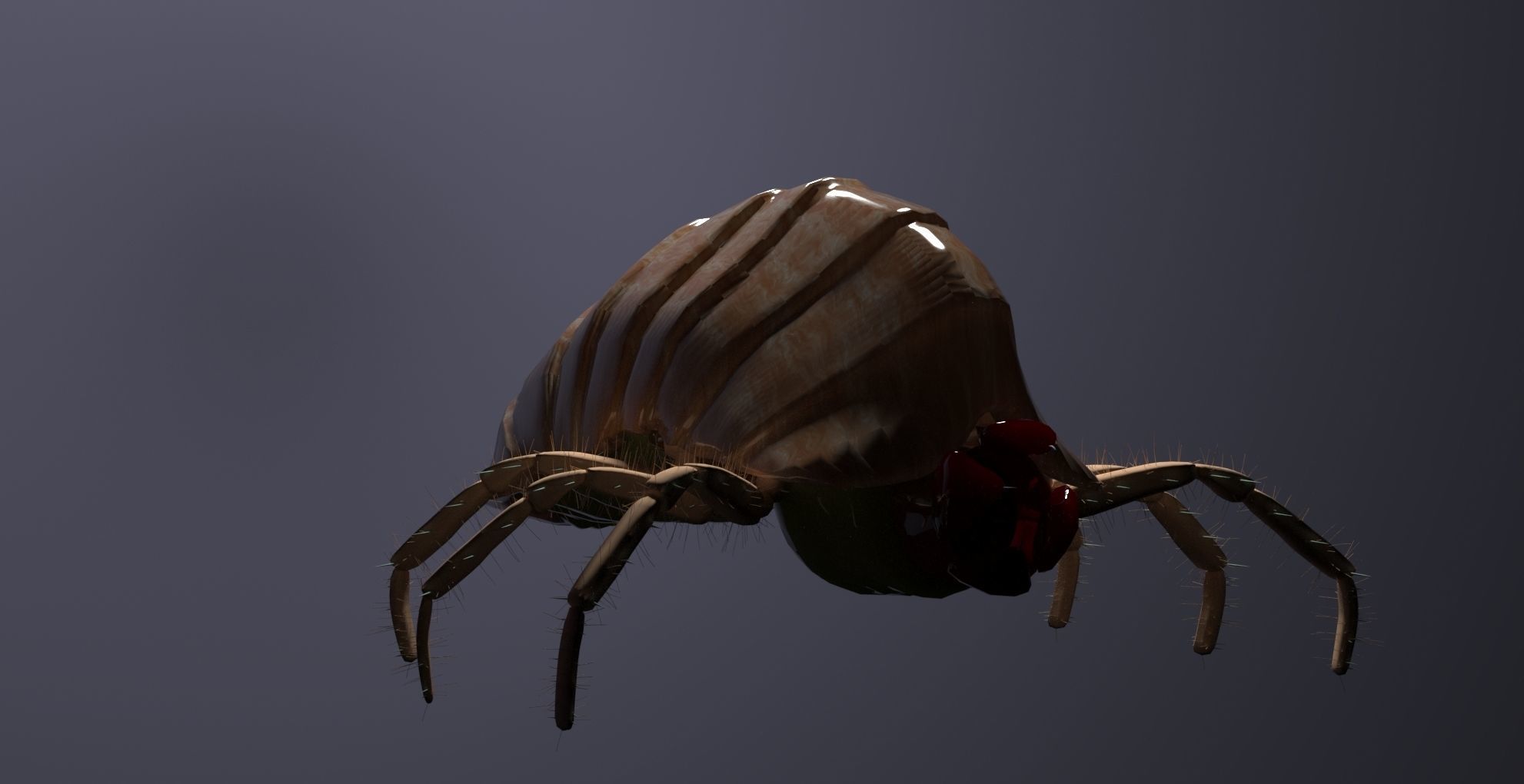 Scarab scar 3D model rigged | CGTrader