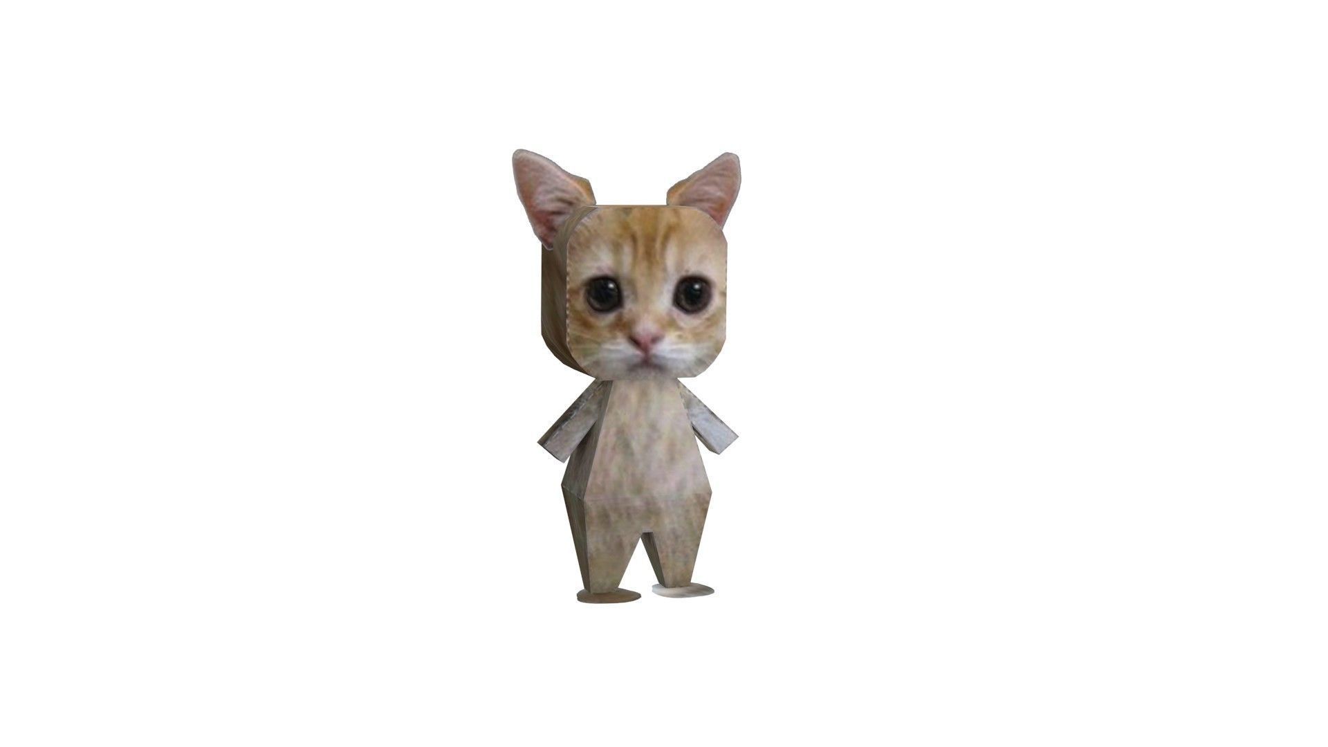 3D model The Cat - Mi gato - meme VR / AR / low-poly | CGTrader