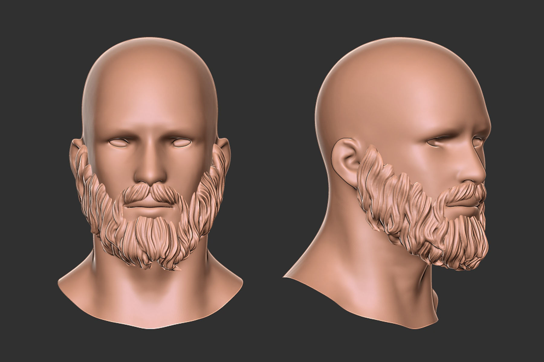beard 2 3D model 3D printable | CGTrader