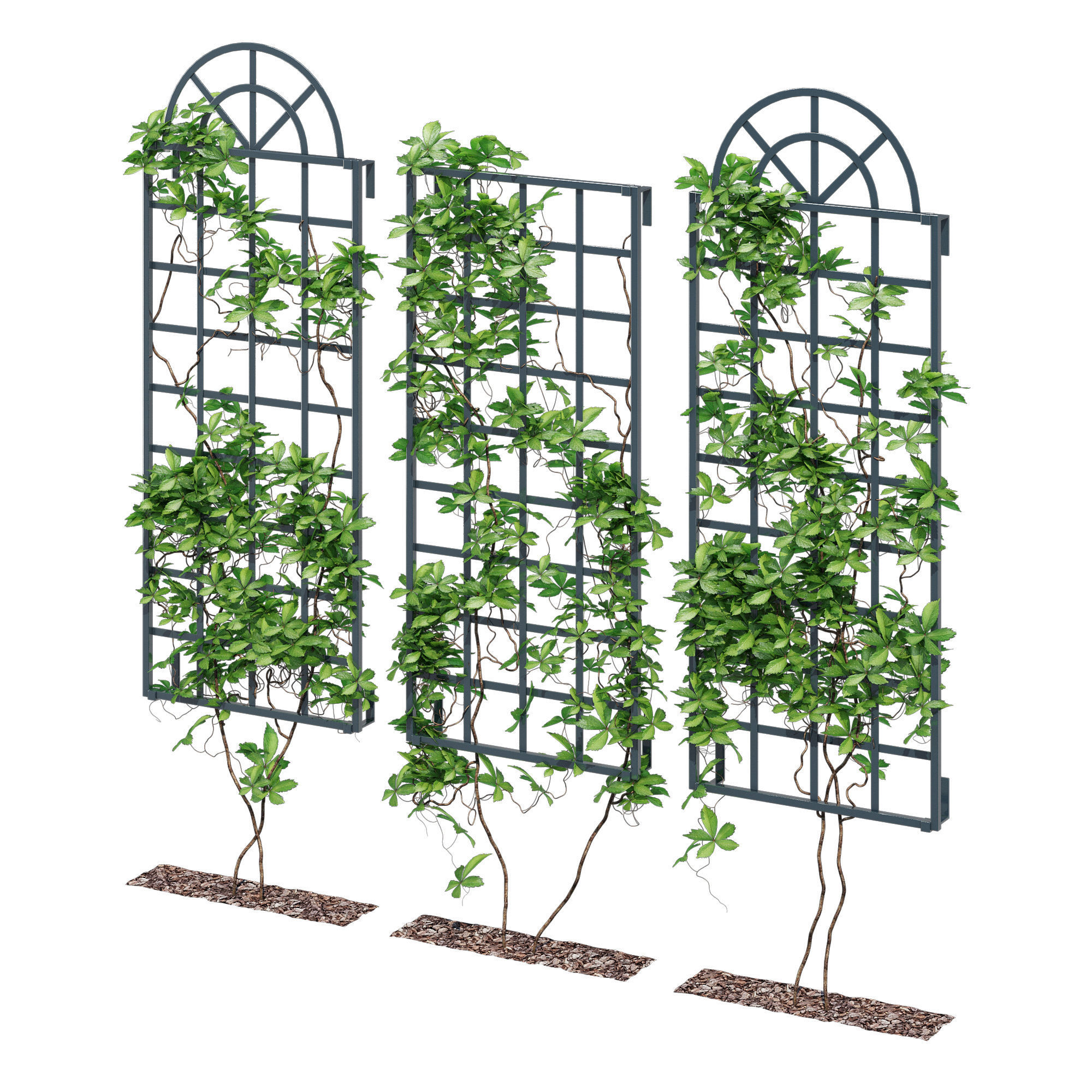 Wall trellis one 3D model | CGTrader