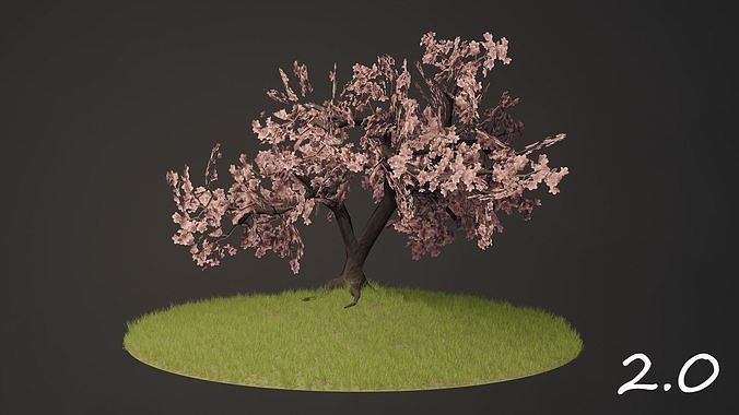 sakura tree free VR / AR / low-poly 3D model | CGTrader
