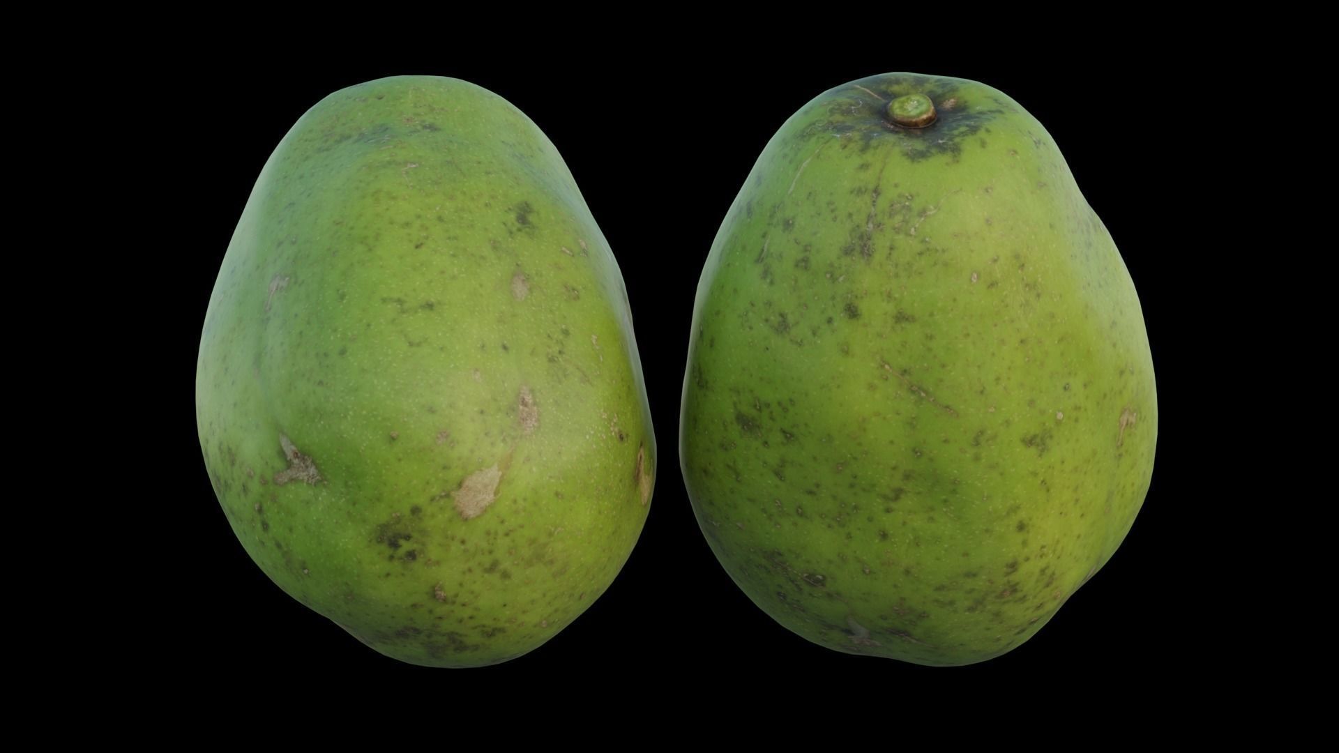 ambarella 3D model | CGTrader