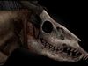 3D model Wendigo VR / AR / low-poly | CGTrader