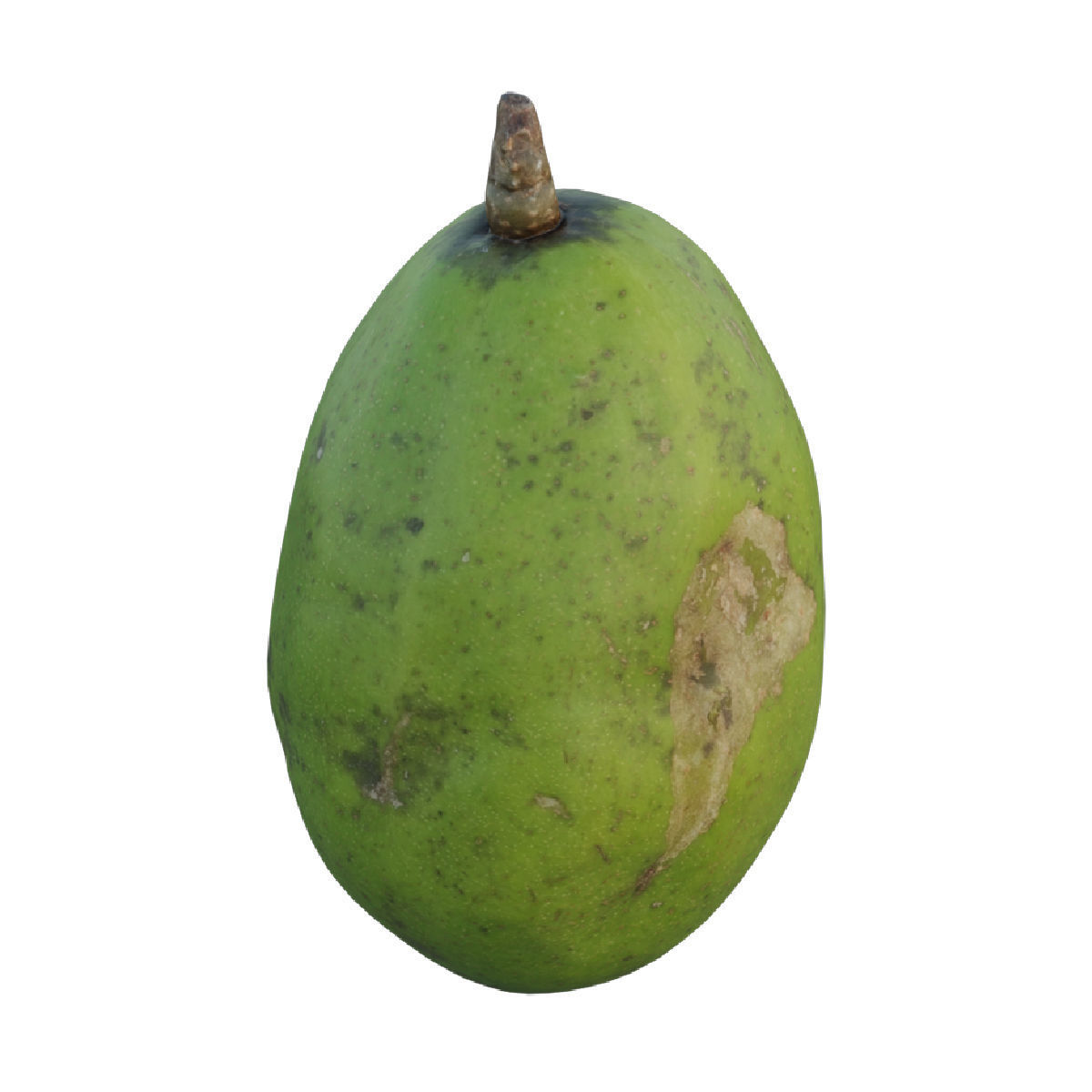 ambarella 02 3D model | CGTrader