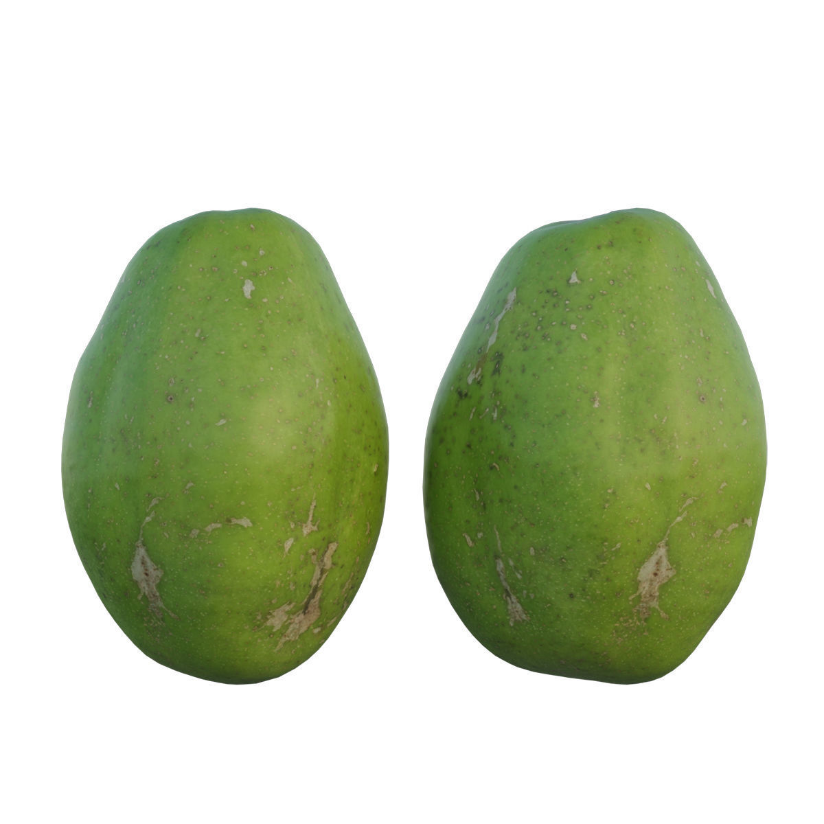 ambarella 02 3D model | CGTrader