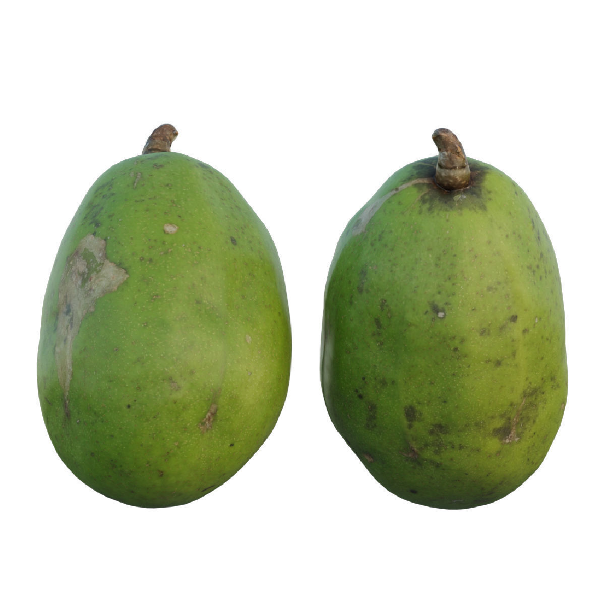 ambarella 02 3D model | CGTrader