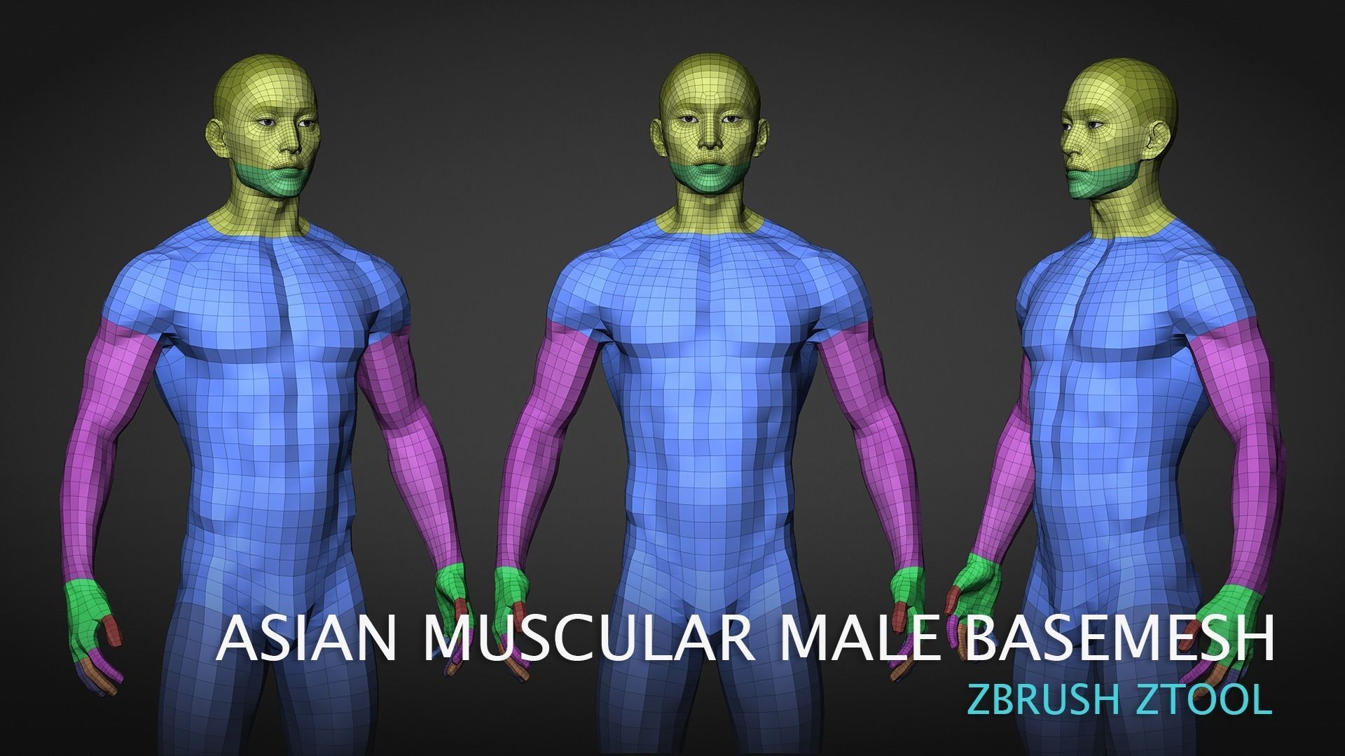 Asian Muscular Male Base mesh 3D model | CGTrader
