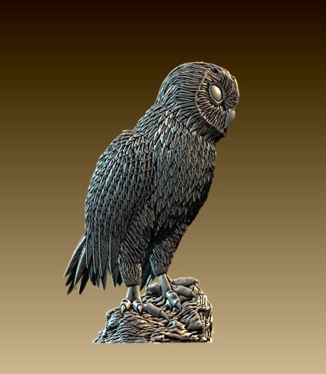 Barn Owl 3D model 3D printable | CGTrader
