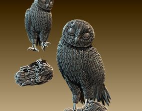 Barn owl 3D Models | CGTrader
