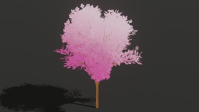 3D model Stylized Cherry tree VR / AR / low-poly | CGTrader