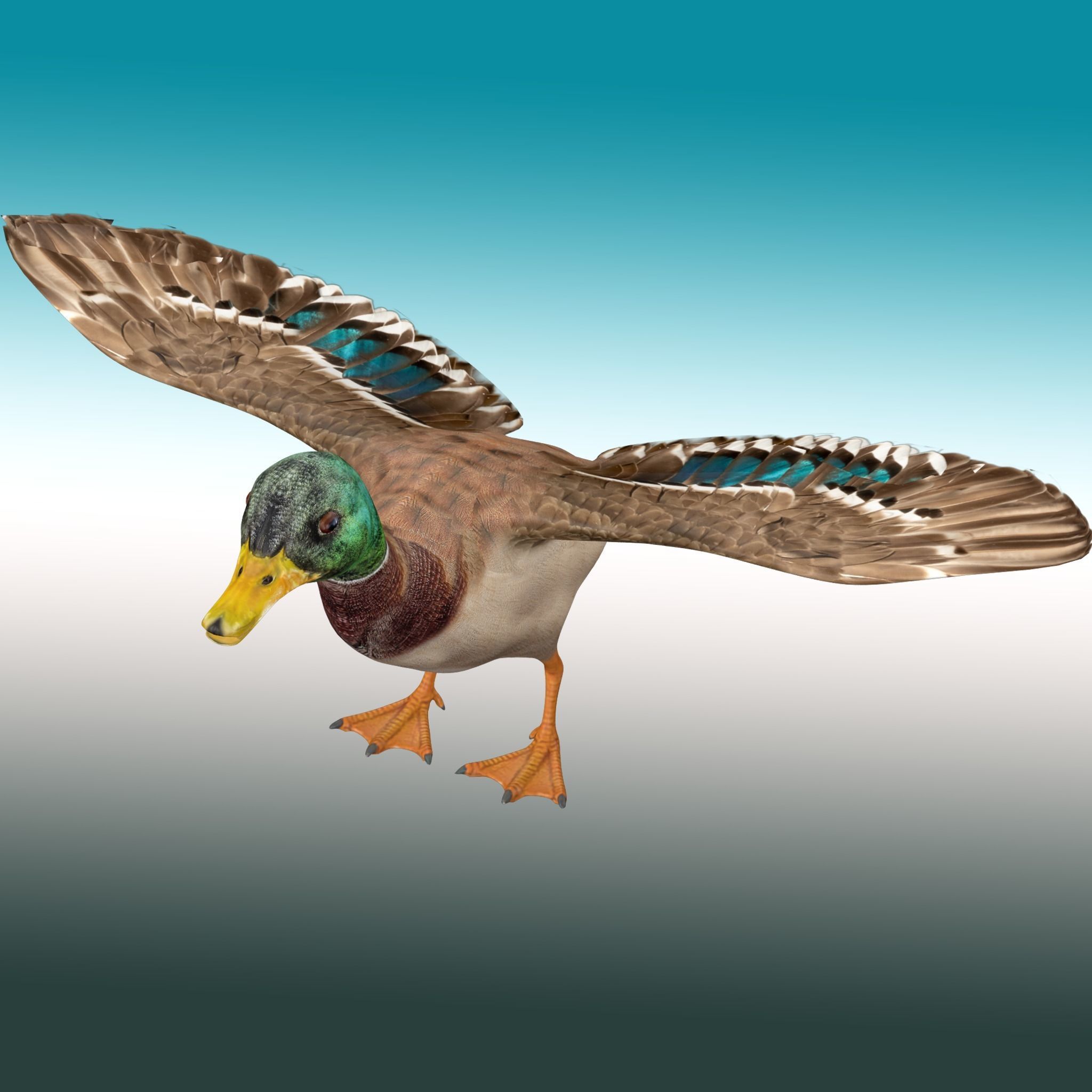 3D model Duck Rig VR / AR / low-poly | CGTrader
