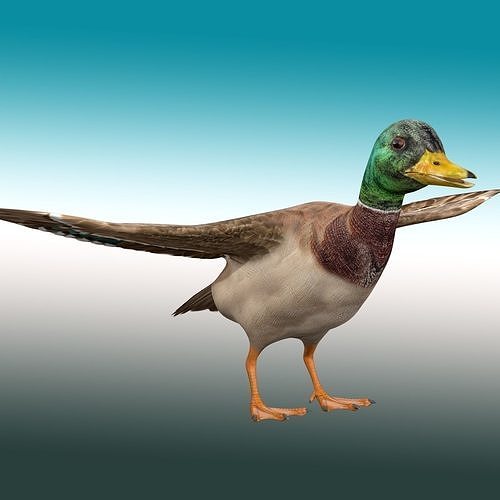 3D model Duck Rig VR / AR / low-poly | CGTrader