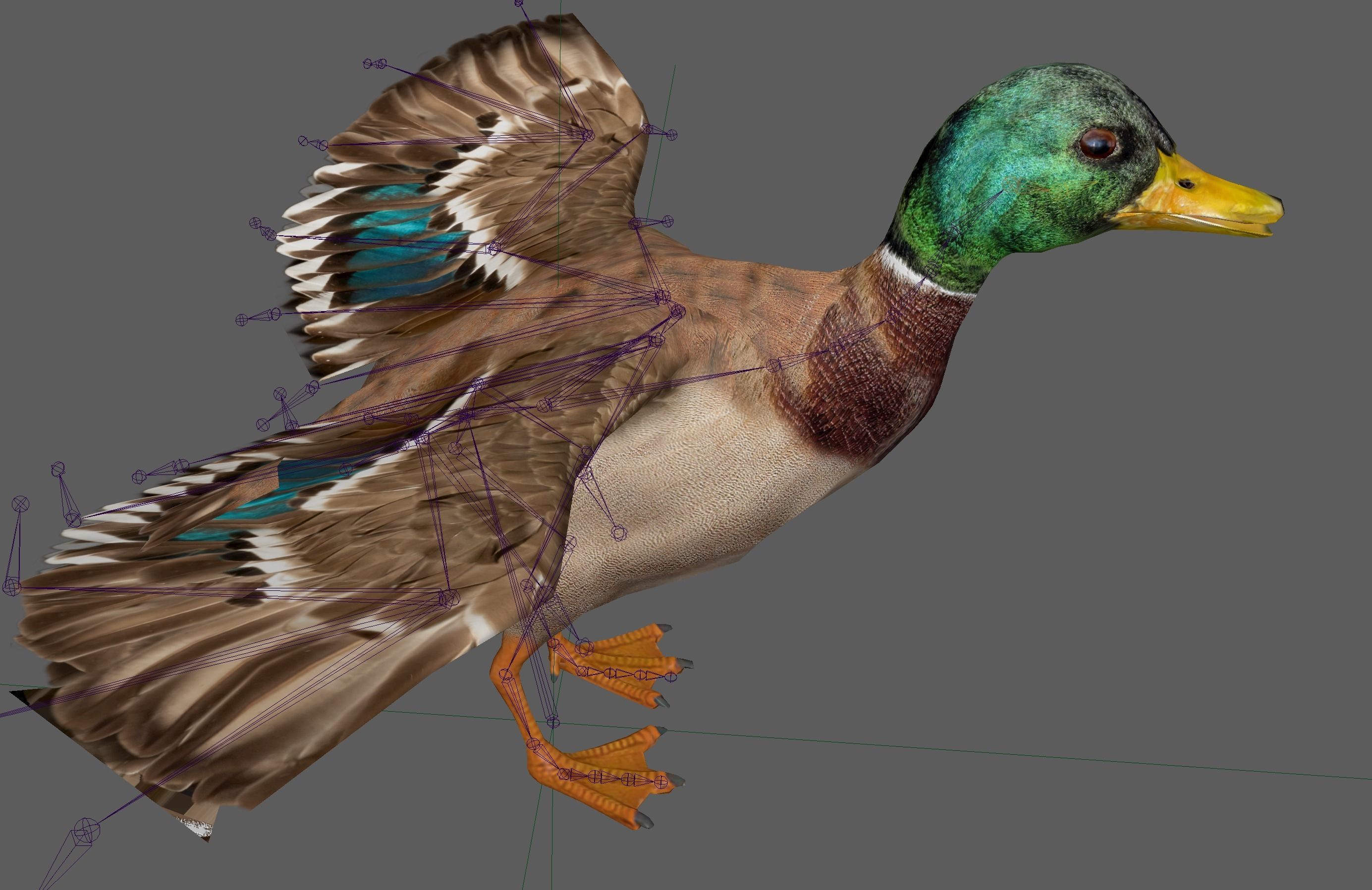 3D model Duck Rig VR / AR / low-poly | CGTrader