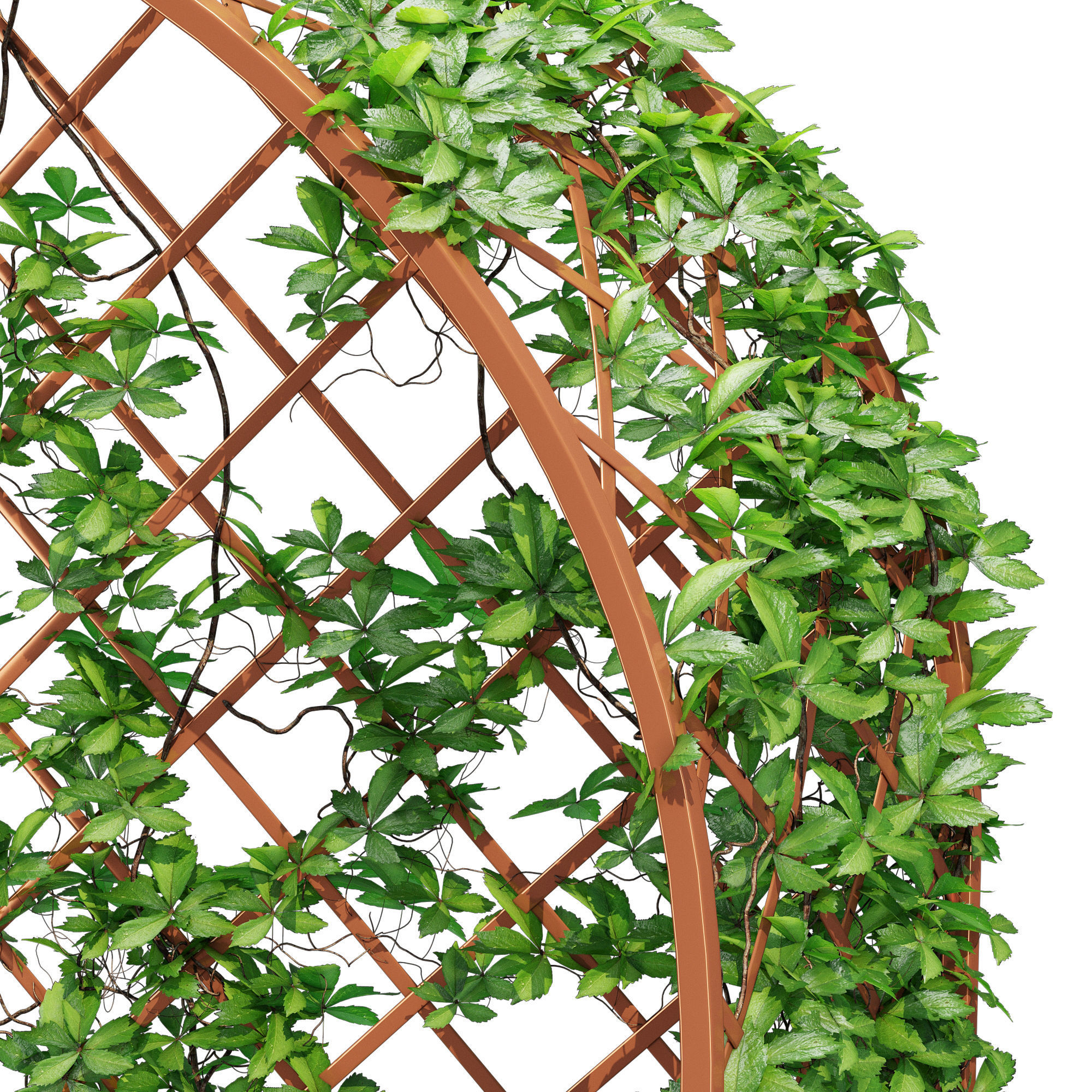 Villandry ivy arbour 3D model | CGTrader
