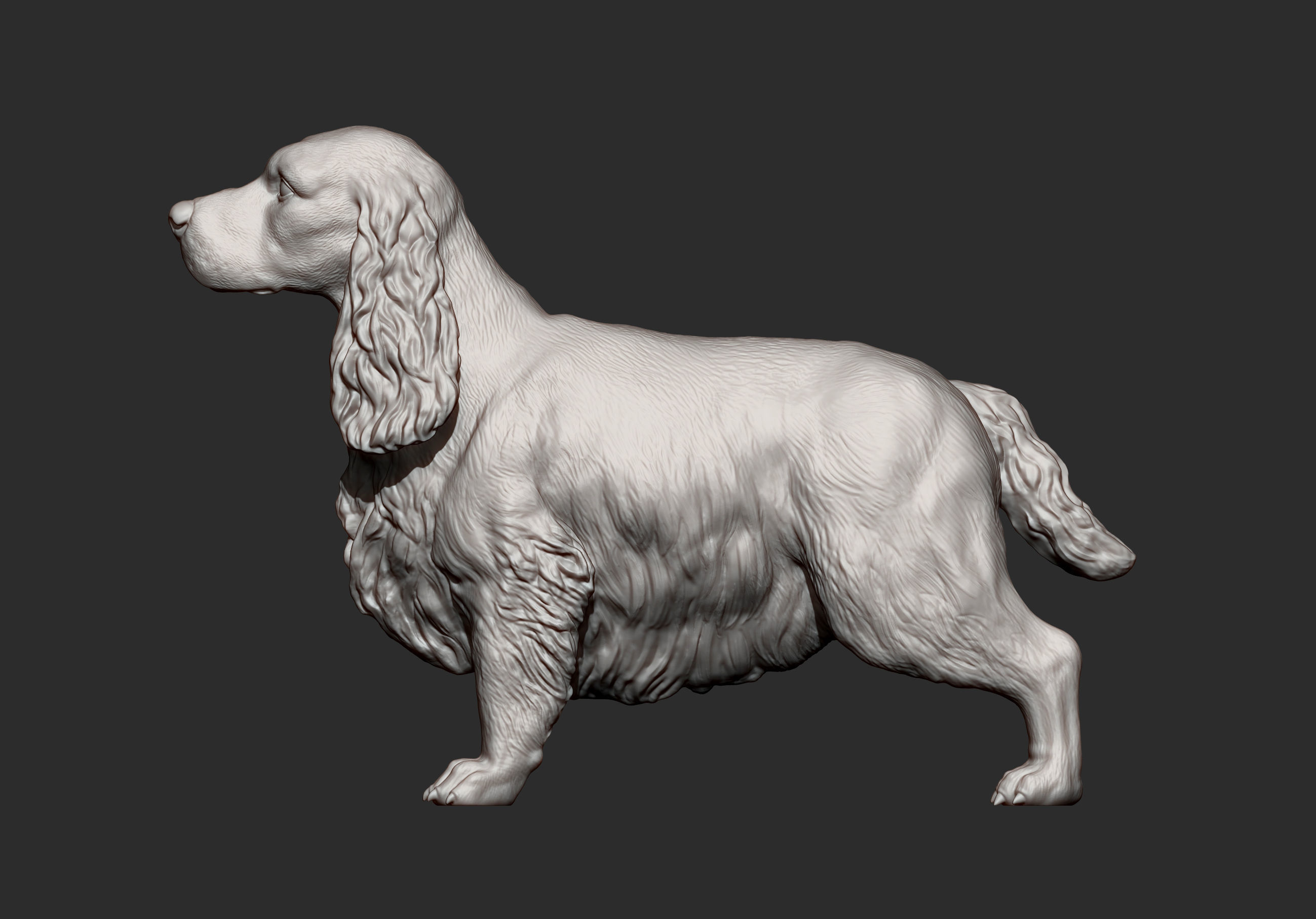 English Cocker Spaniel 3D model 3D printable | CGTrader